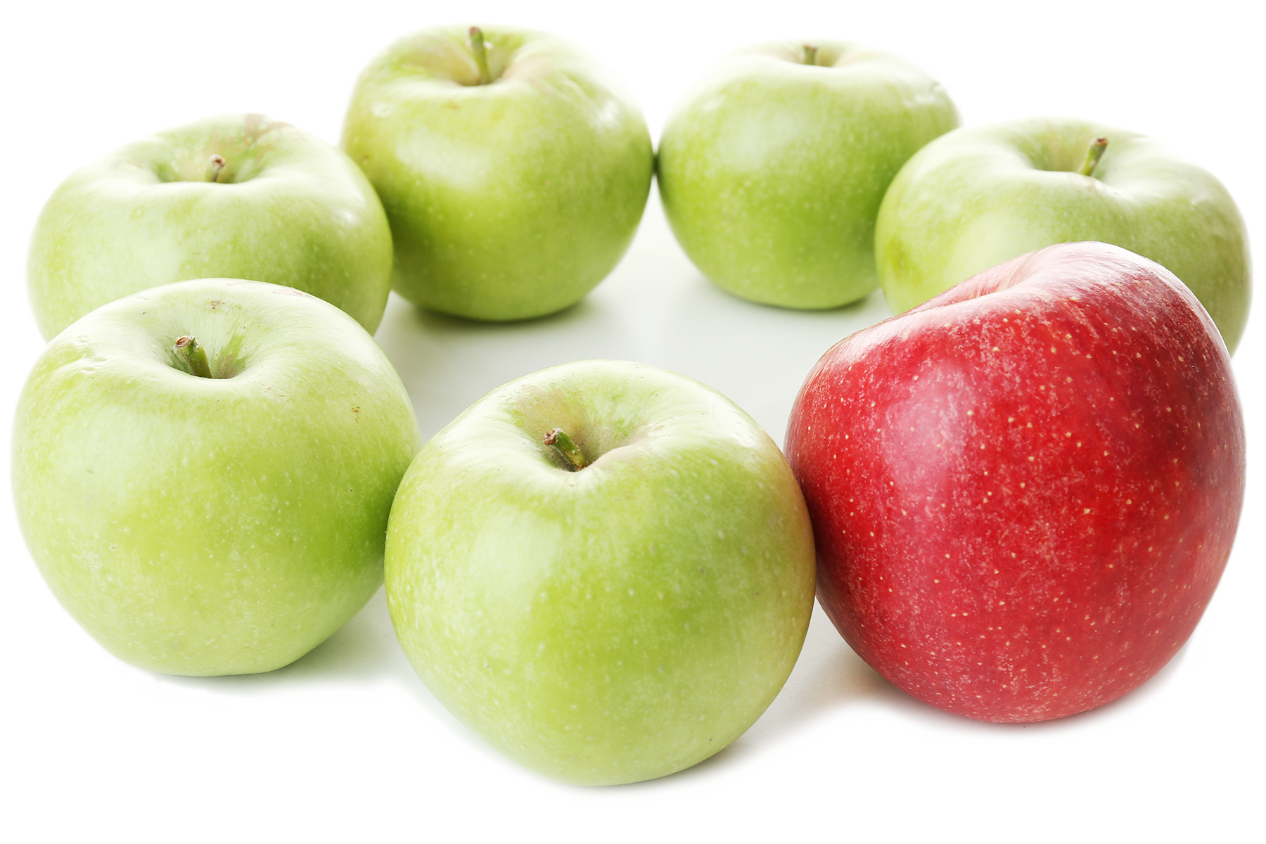 Mary Pomerantz MHRM SPHR-Recruitment Expert | TPG Staffing